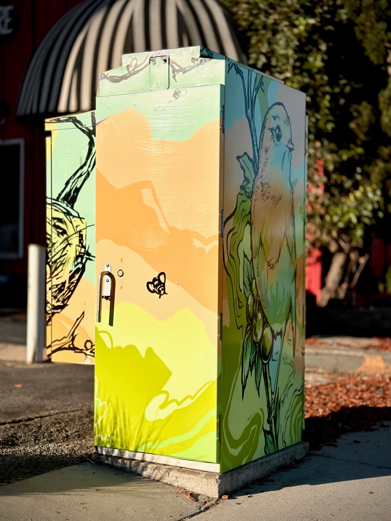Utility Box Wrap Program | Solana Beach
